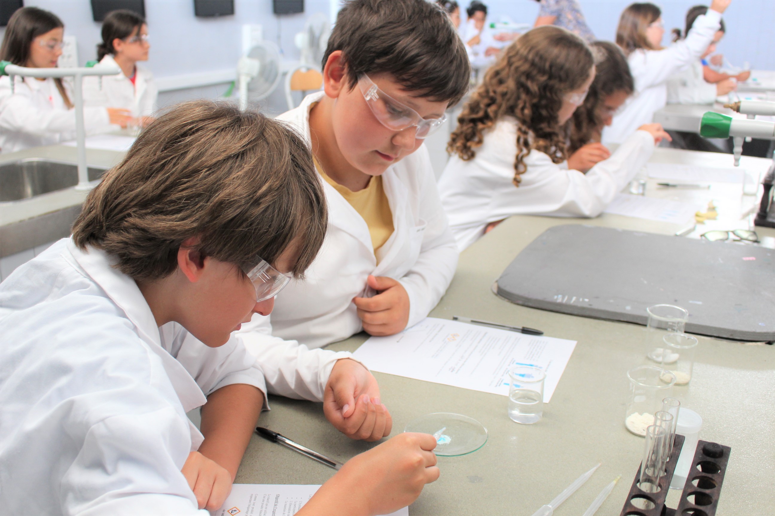 Clase de ciencias con los alumnos de Primaria - Liceo